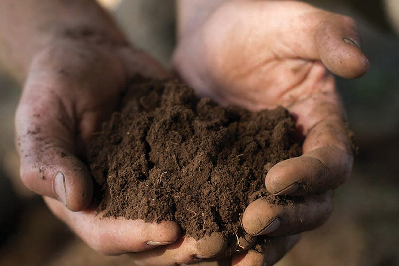 Topsoil Supply & Delivery | Hervey Bay & Fraser Coast