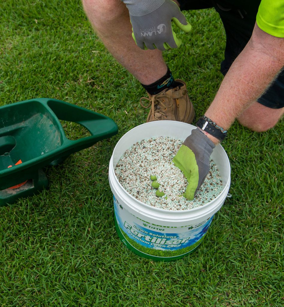 Lawn Fertilisation Tips | South East Queensland