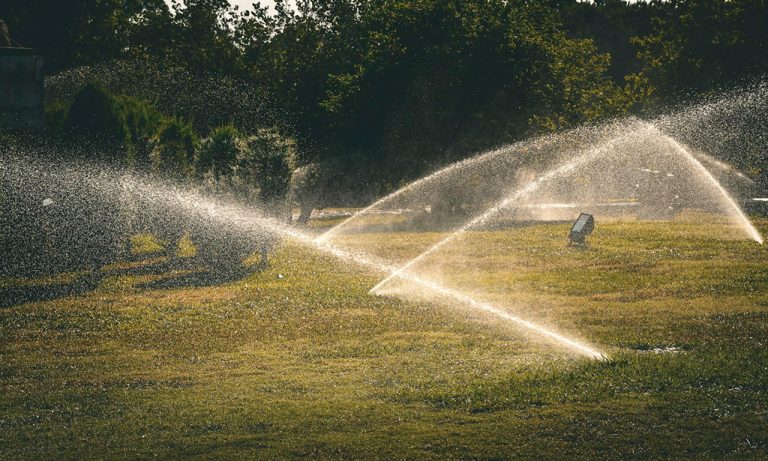 Lawn Watering Tips | South East Queensland